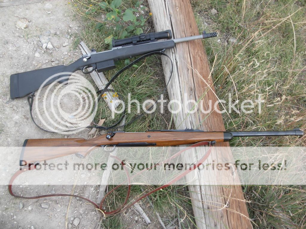 I want a Ruger Gunsite scout rifle.. > General Discussion > AR15.COM